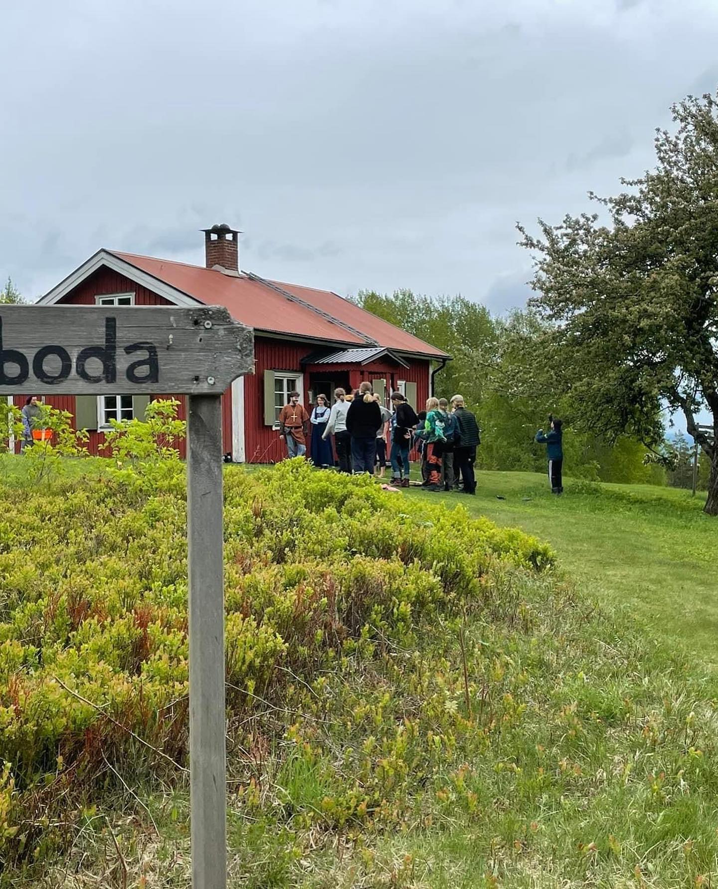 Vit jul | Nykterhetsrörelsens Scoutförbund